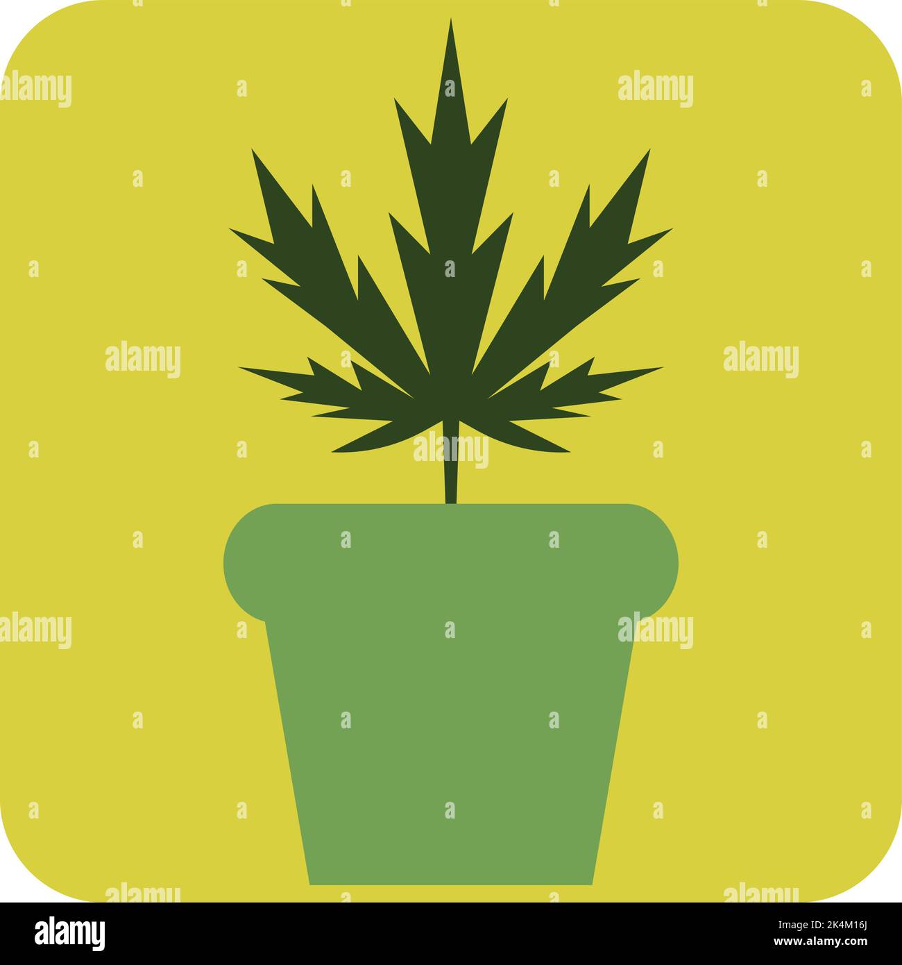Leaf cannabis plant in Cut Out Stock Images & Pictures - Alamy