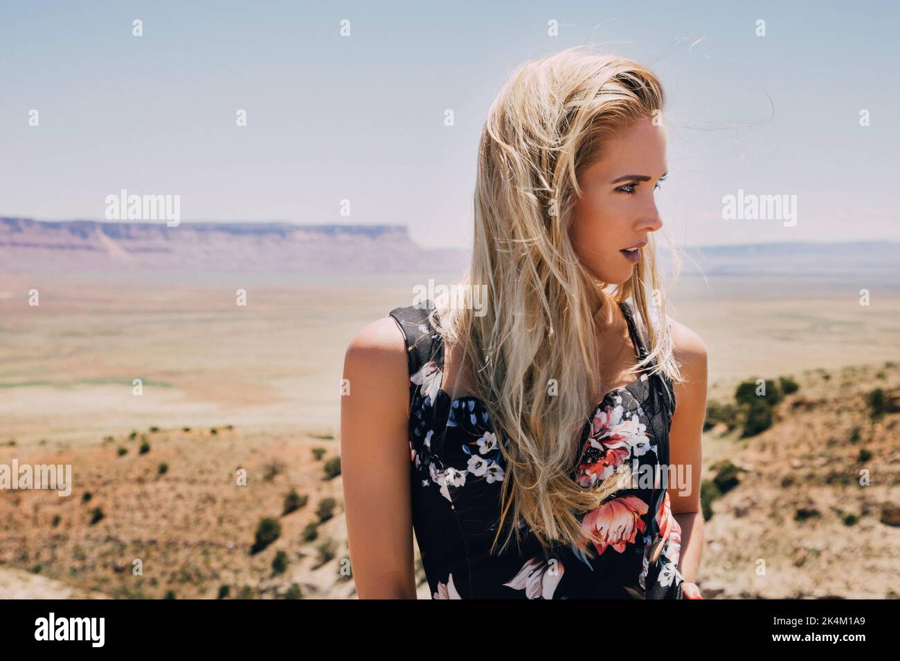 Portrait of pretty blonde female with long hair in desert landscape ...