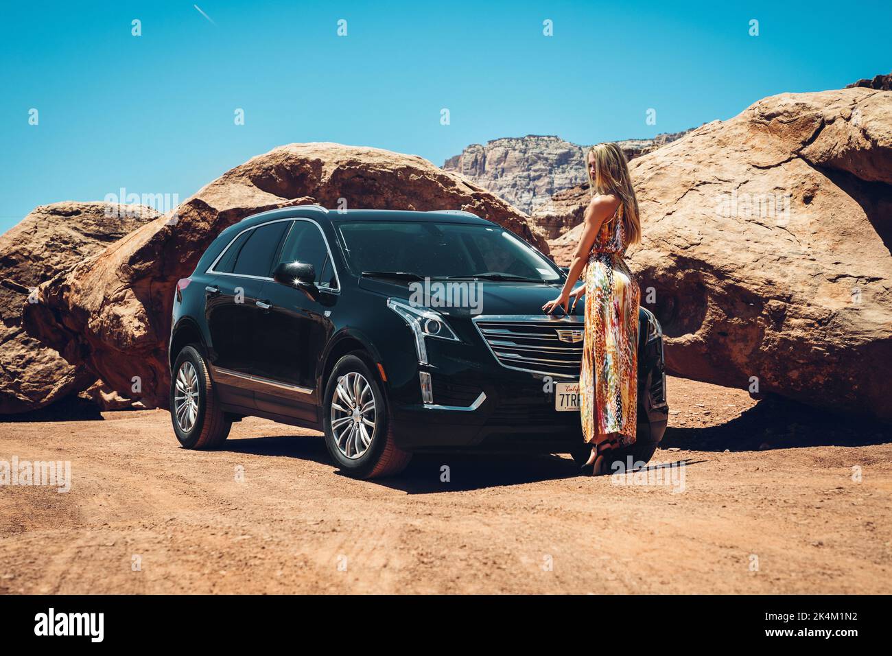 Pretty blonde female with long hair and wearing a long dress , standing ...