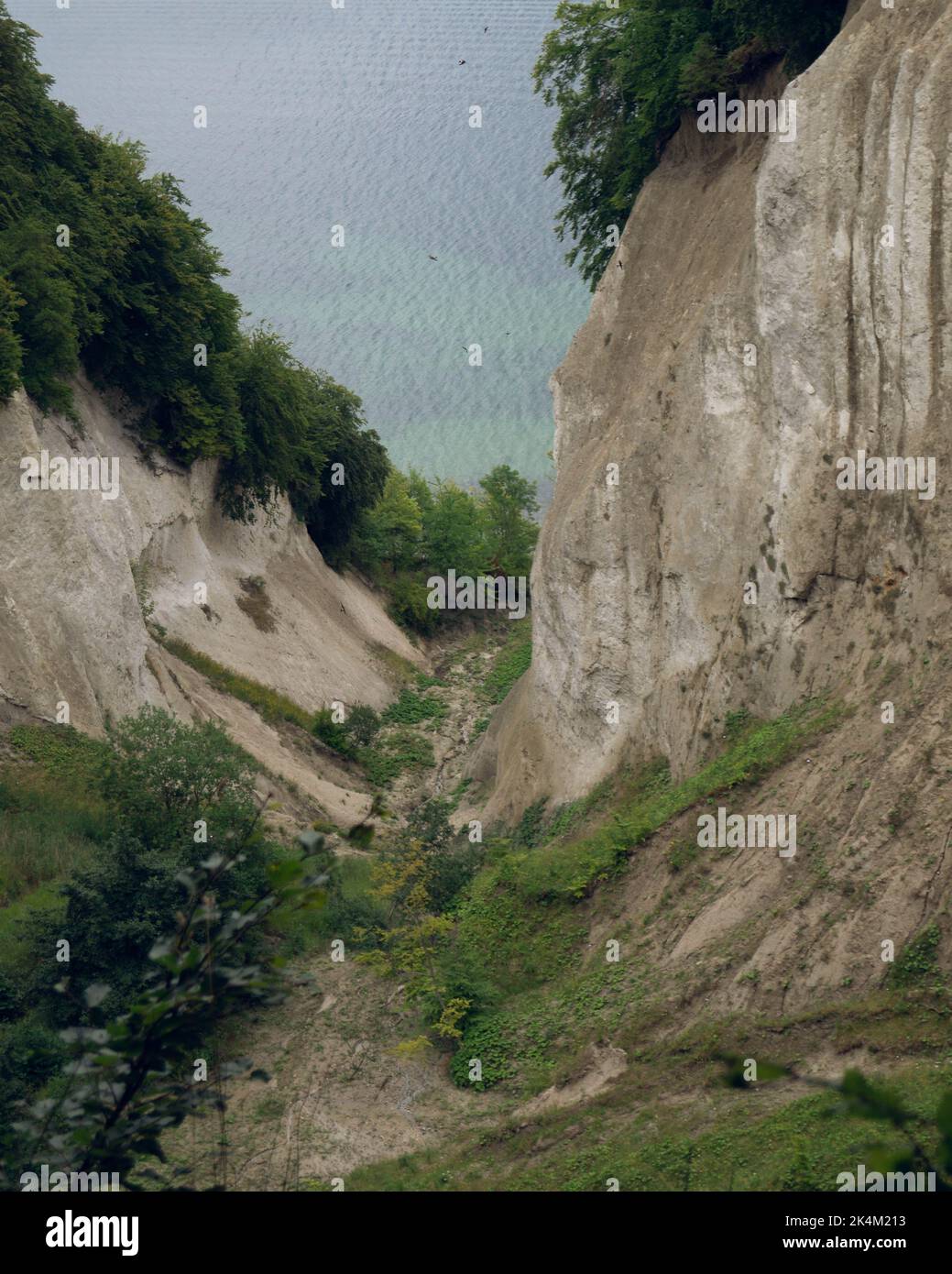 A vertical shot of a dry water stream trail in a forest against a ...