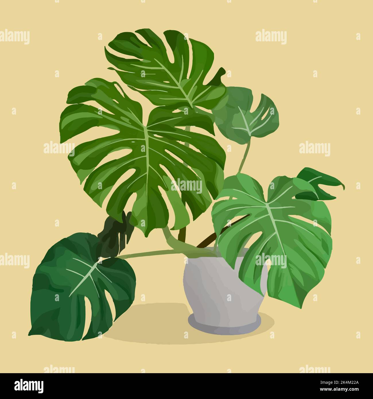 Monstera in pot on the yellow background, tropical plants, modern house ...