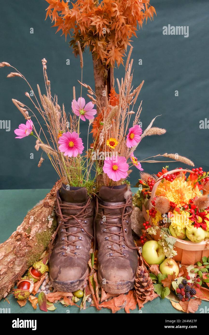 Planted flowers in boots hi-res stock photography and images - Alamy