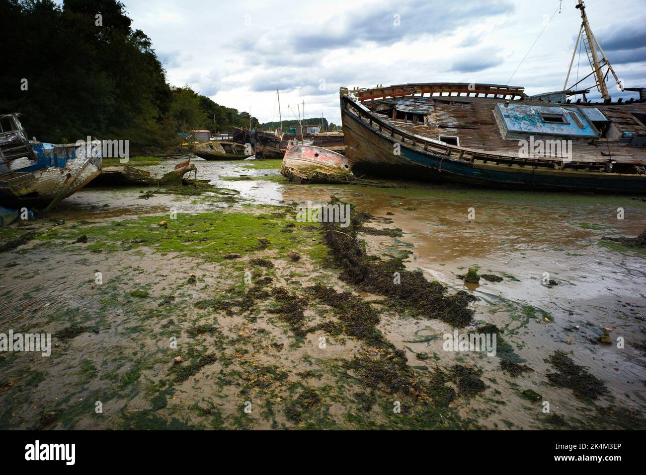 The graveyard of sailing barges and boats at Pin Mill, Suffolk Stock ...