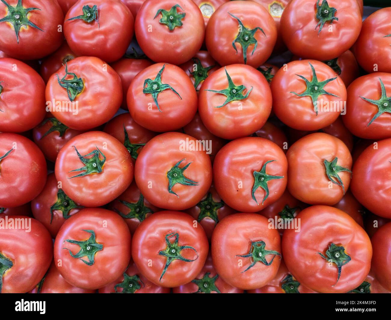 Close up of fresh tomatoes fruits at stall of supermarket in Asia ...