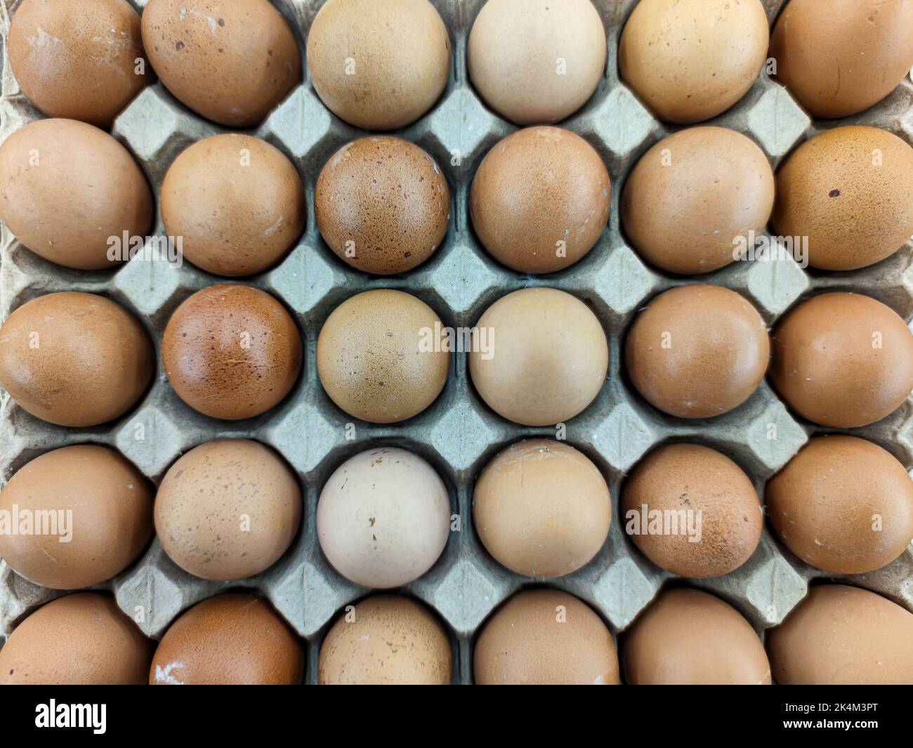 Close up of fresh eggs in cardboard box at stall of supermarket in Asia ...