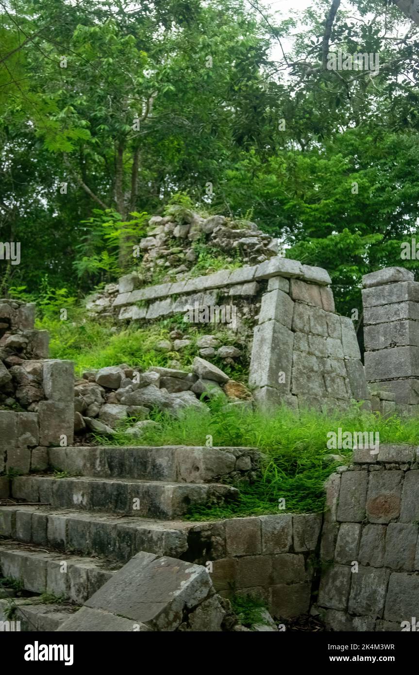 mayan pyramids in mexico, stone construction, surrounded by vegetation ...