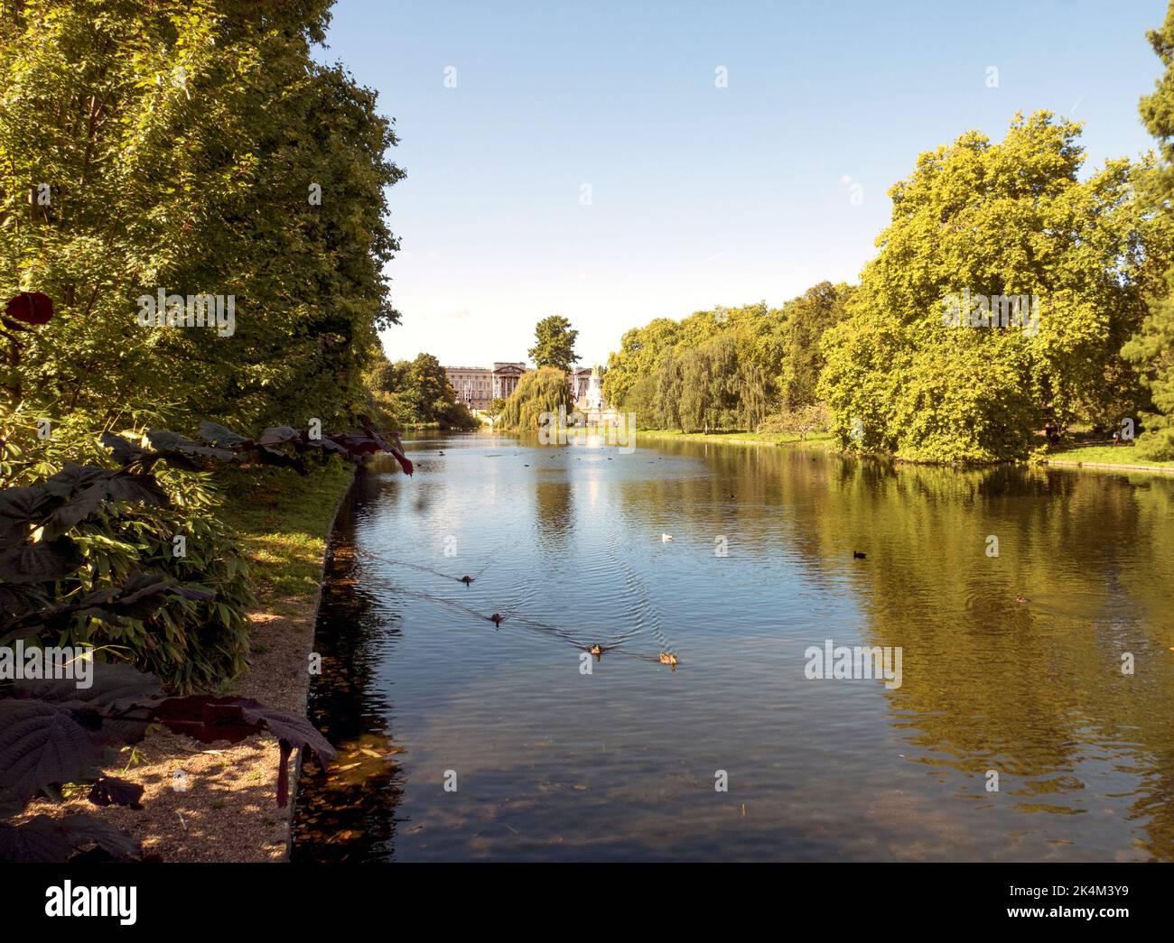 Wide sunny blue sky summer view across St James's Park Lake to ...