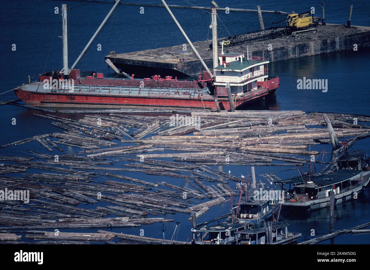 Malaysia. Sabah. Floating logs with ship in Sandakan harbor Stock Photo ...