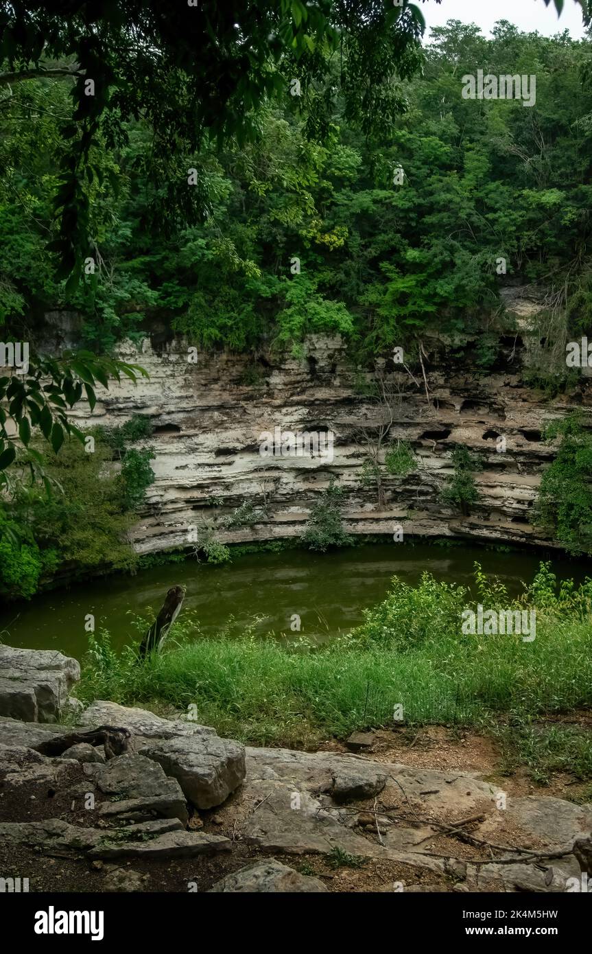 Jungle yucatan hi-res stock photography and images - Alamy