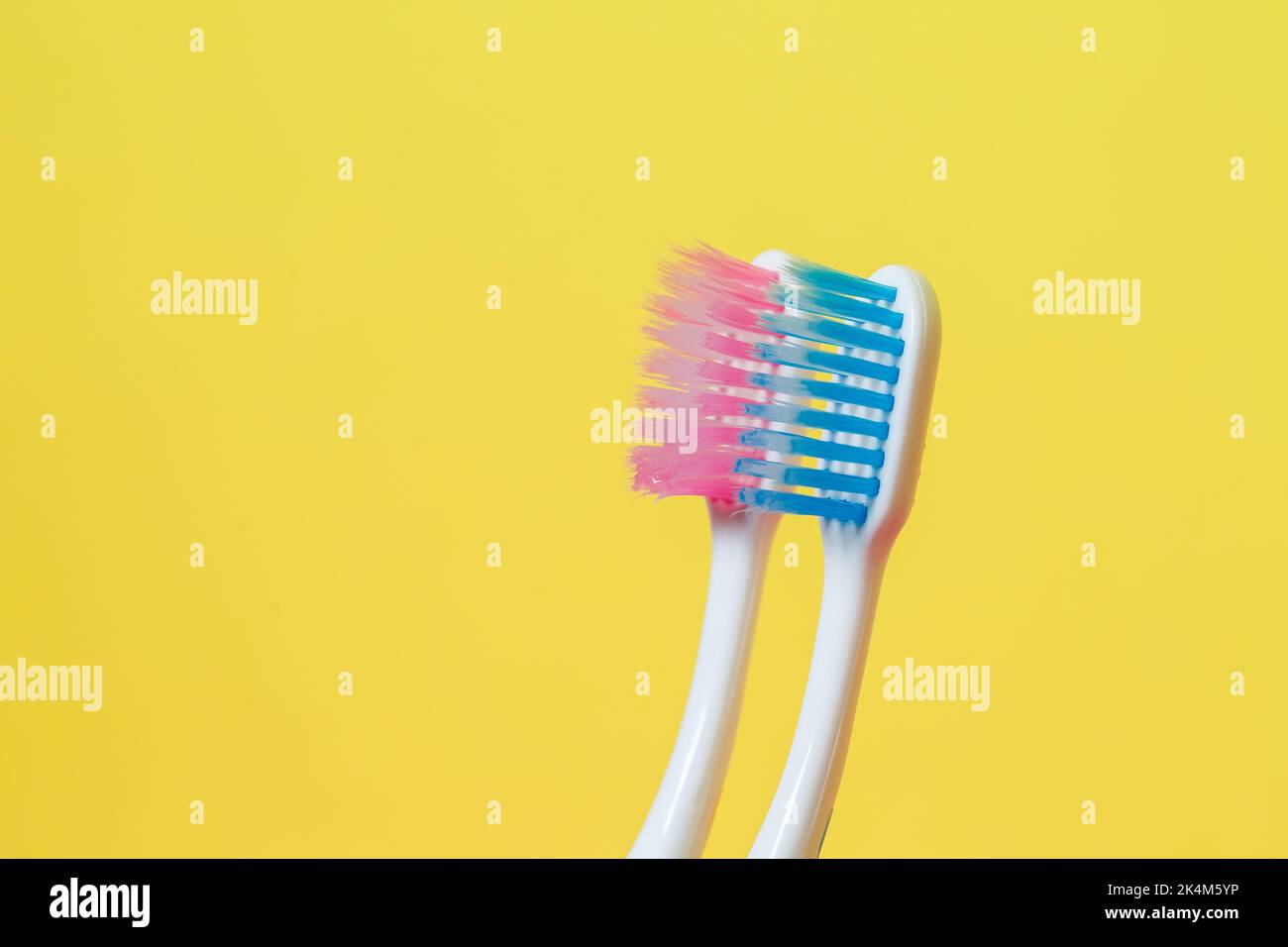Two toothbrushes pink and blue. Toothbrush concept for a couple, living ...