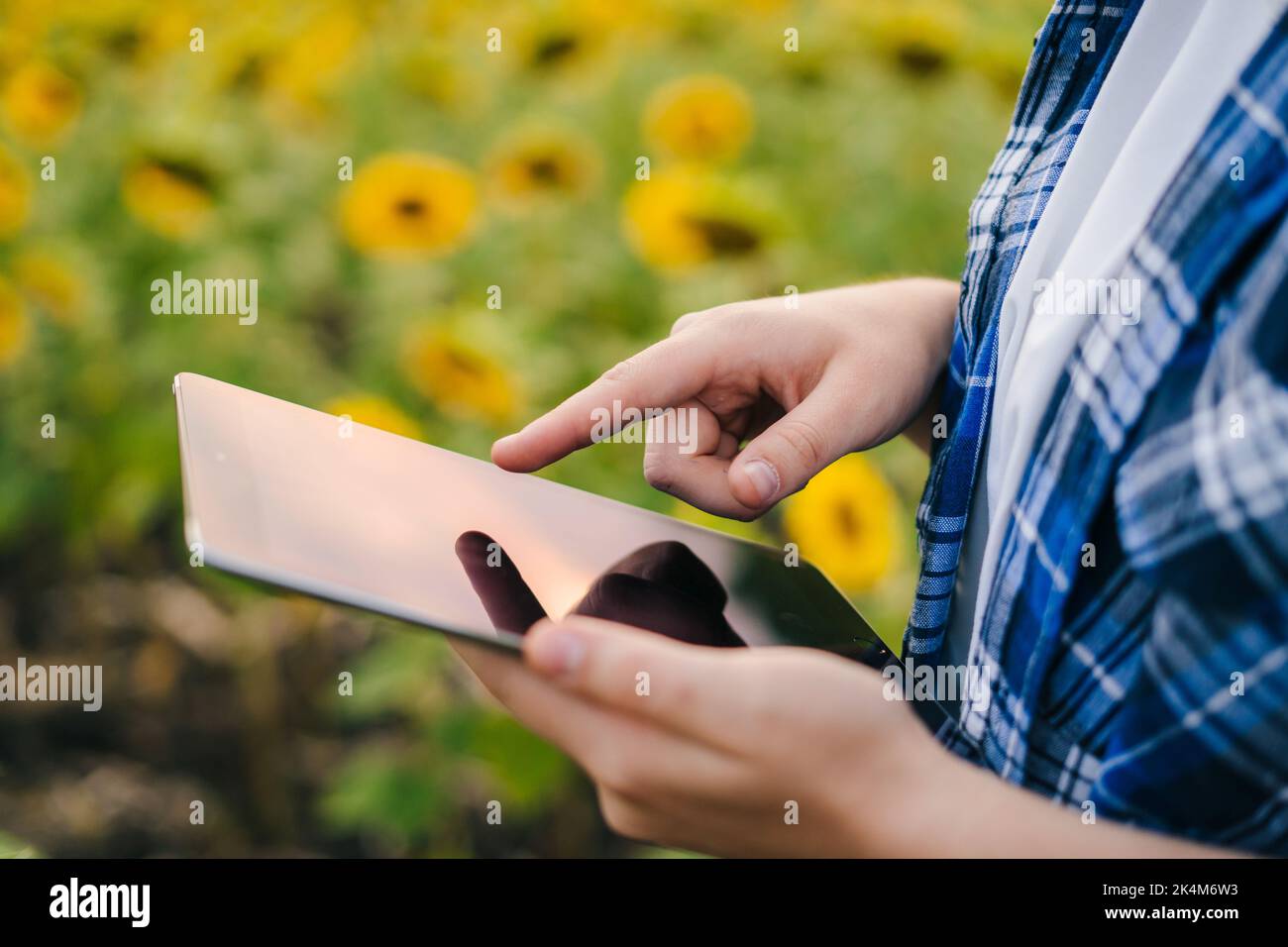 Woman's hands using tablet research and studying the development of ...