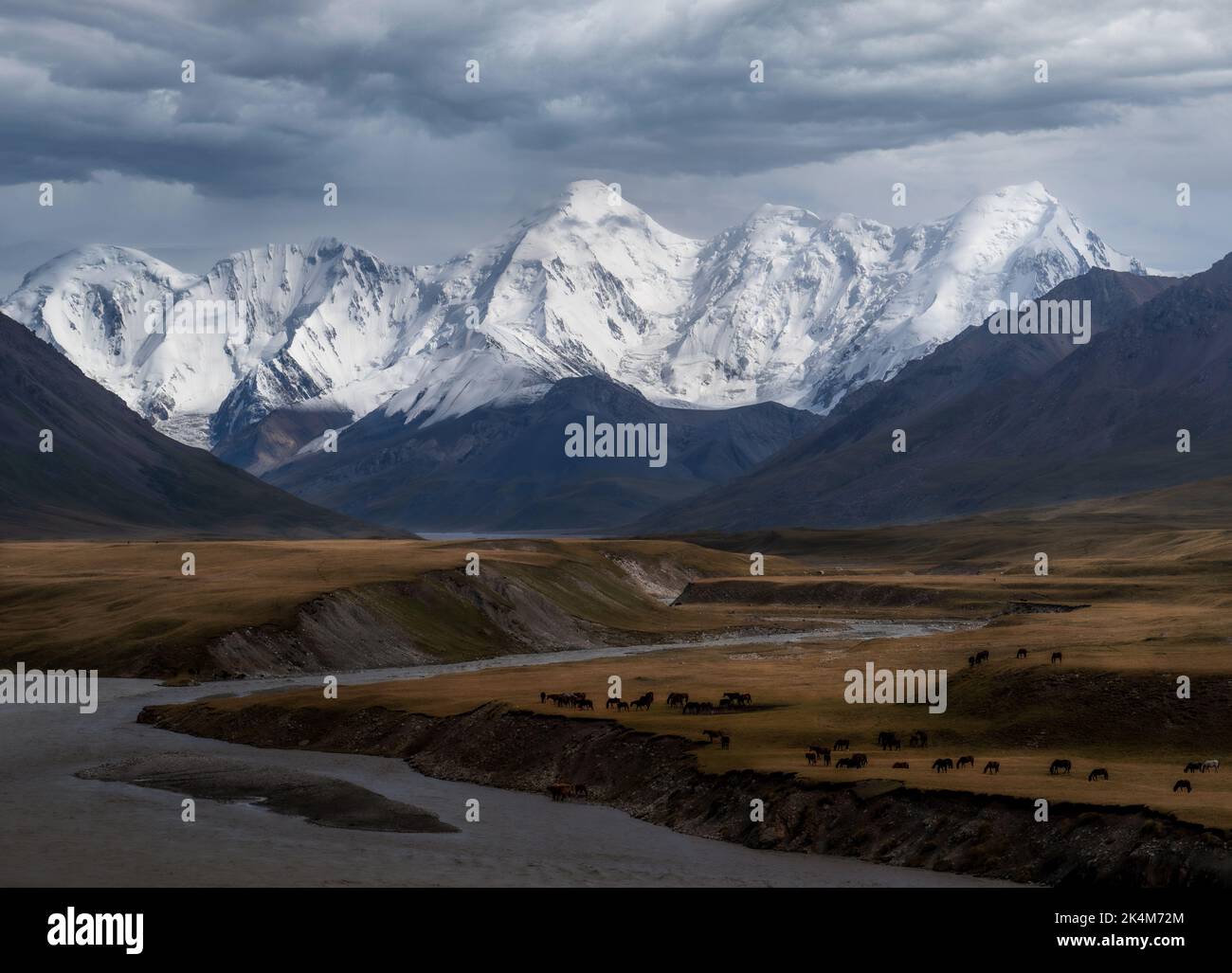 Wild horses in front of dramatic snow-capped 5000+ metre tall peaks of ...