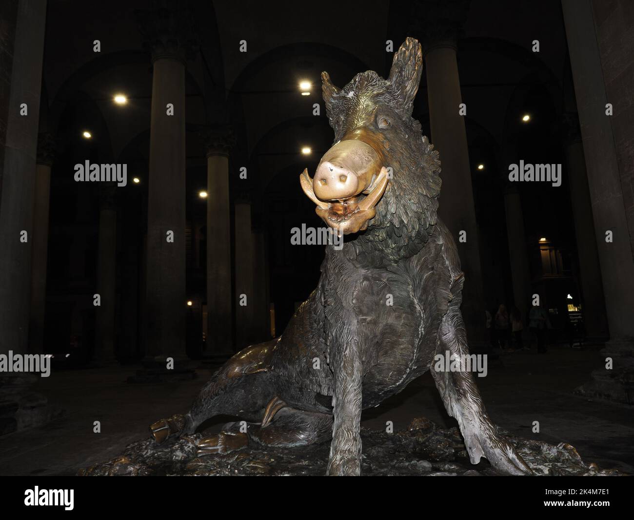 famous florence fortune pig boar detail at night Stock Photo - Alamy