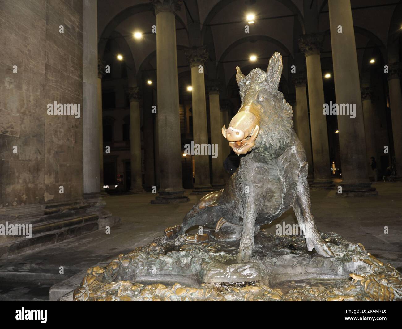 famous florence fortune pig boar detail at night Stock Photo - Alamy