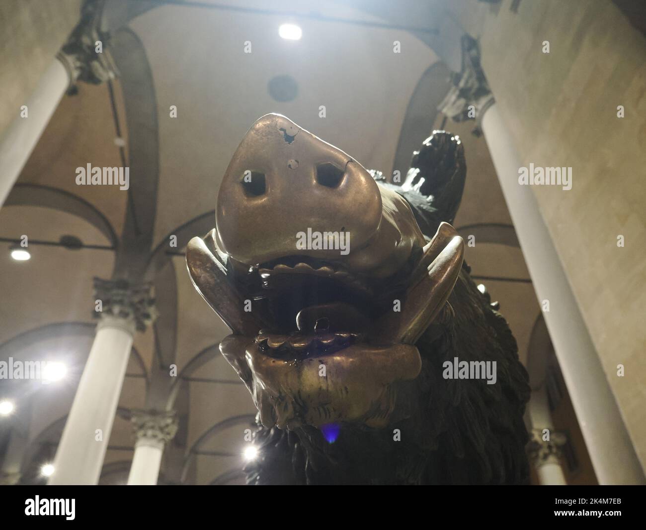 famous florence fortune pig boar detail at night Stock Photo - Alamy