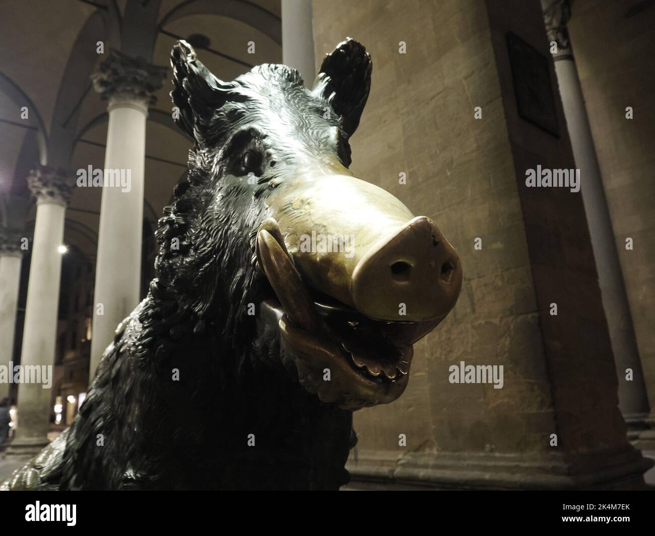 famous florence fortune pig boar detail at night Stock Photo - Alamy