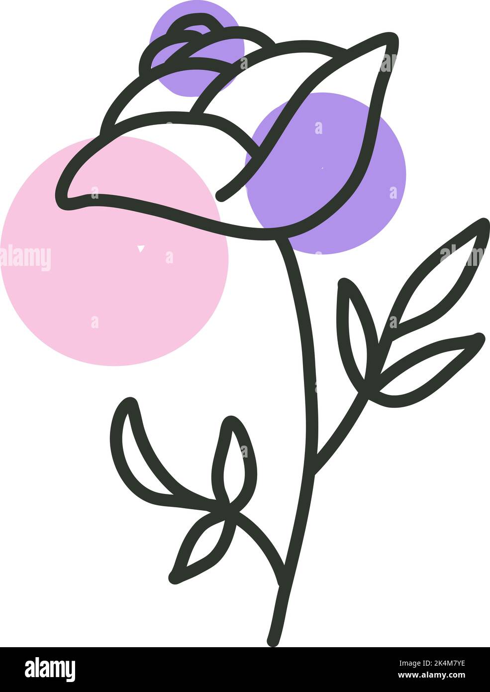 Opening rose Stock Vector Images - Alamy