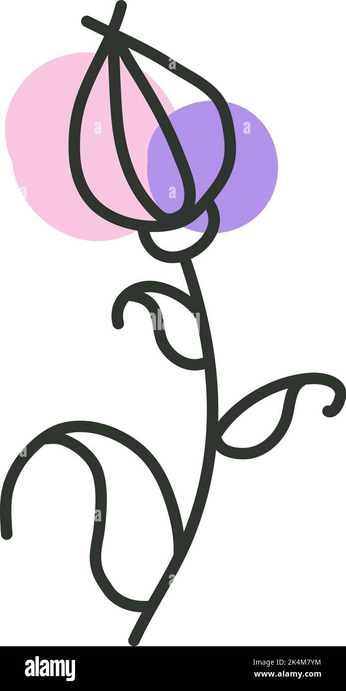 Closed flower, illustration, vector on a white background Stock Vector ...