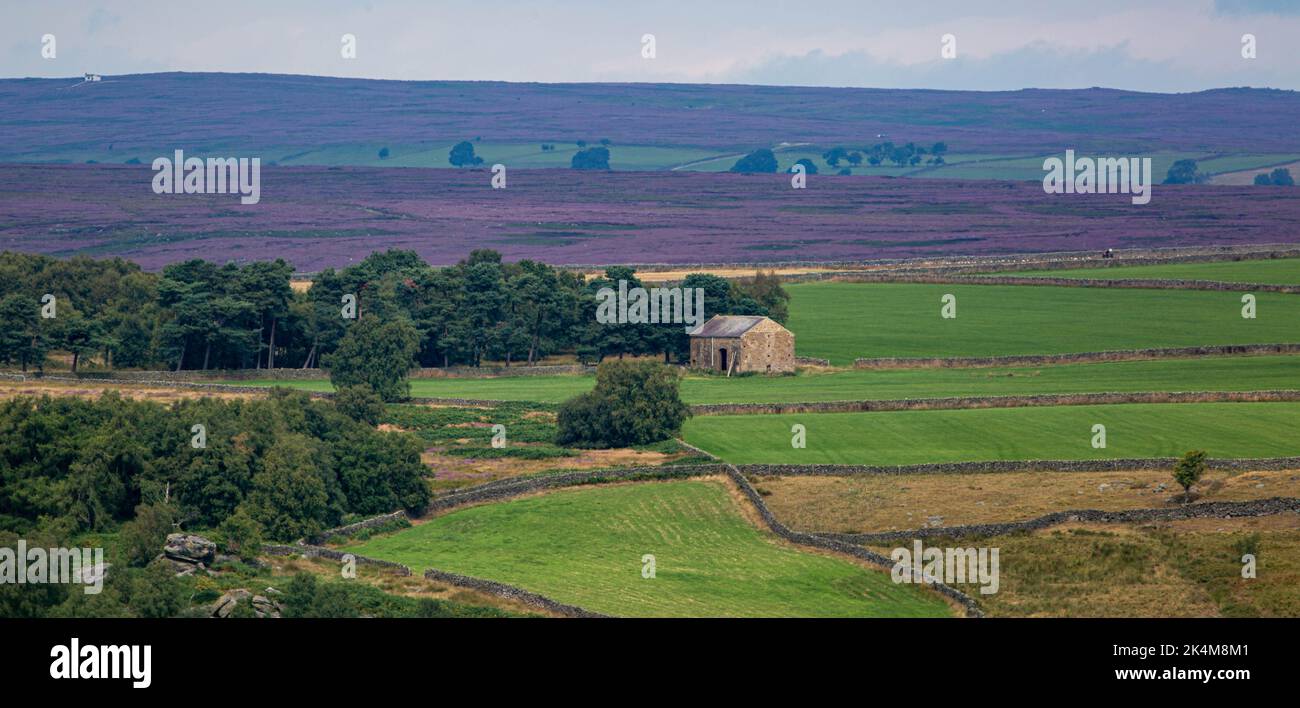 A view of The Yorkshire Moors Stock Photo - Alamy