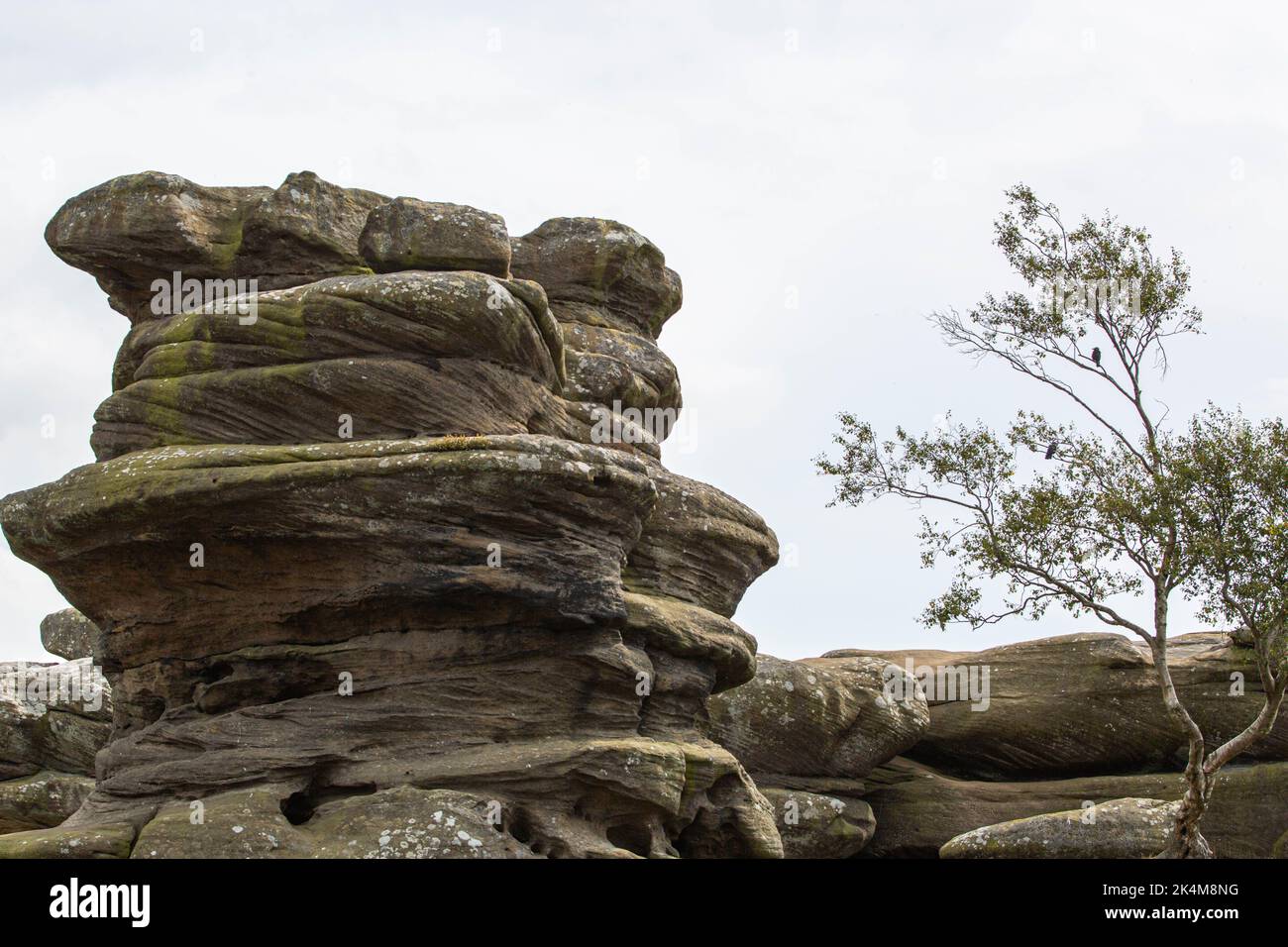 Brimham Rocks National trust Yorkshire Stock Photo - Alamy