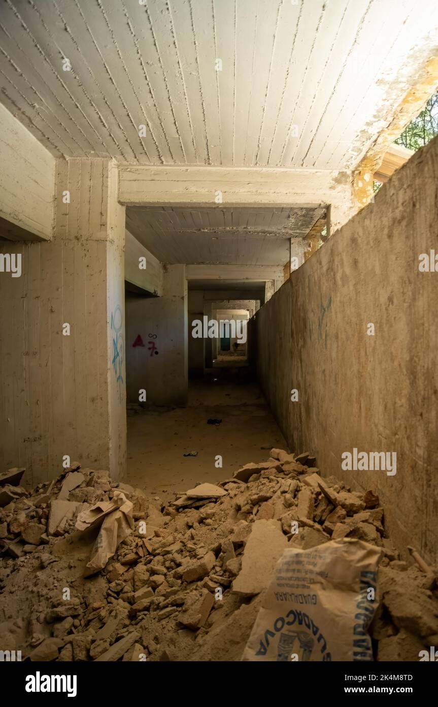 old abandoned building, nature grows back brick Stock Photo - Alamy
