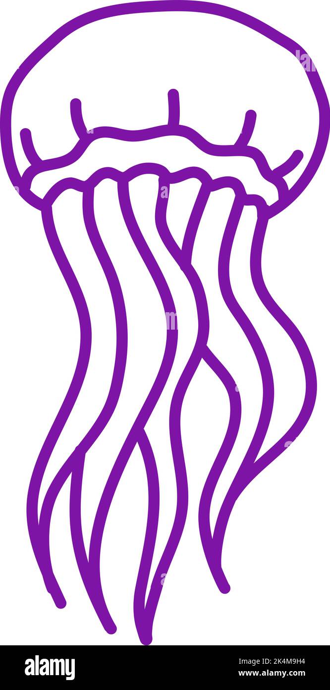 Dark purple jellyfish, illustration, vector on a white background Stock ...