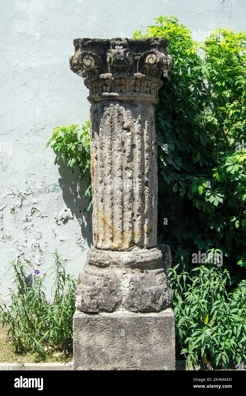 greek stone column, surrounding plants, gilded style, wall in the ...