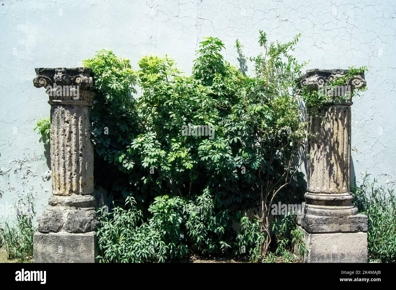 greek stone column, surrounding plants, gilded style, wall in the ...