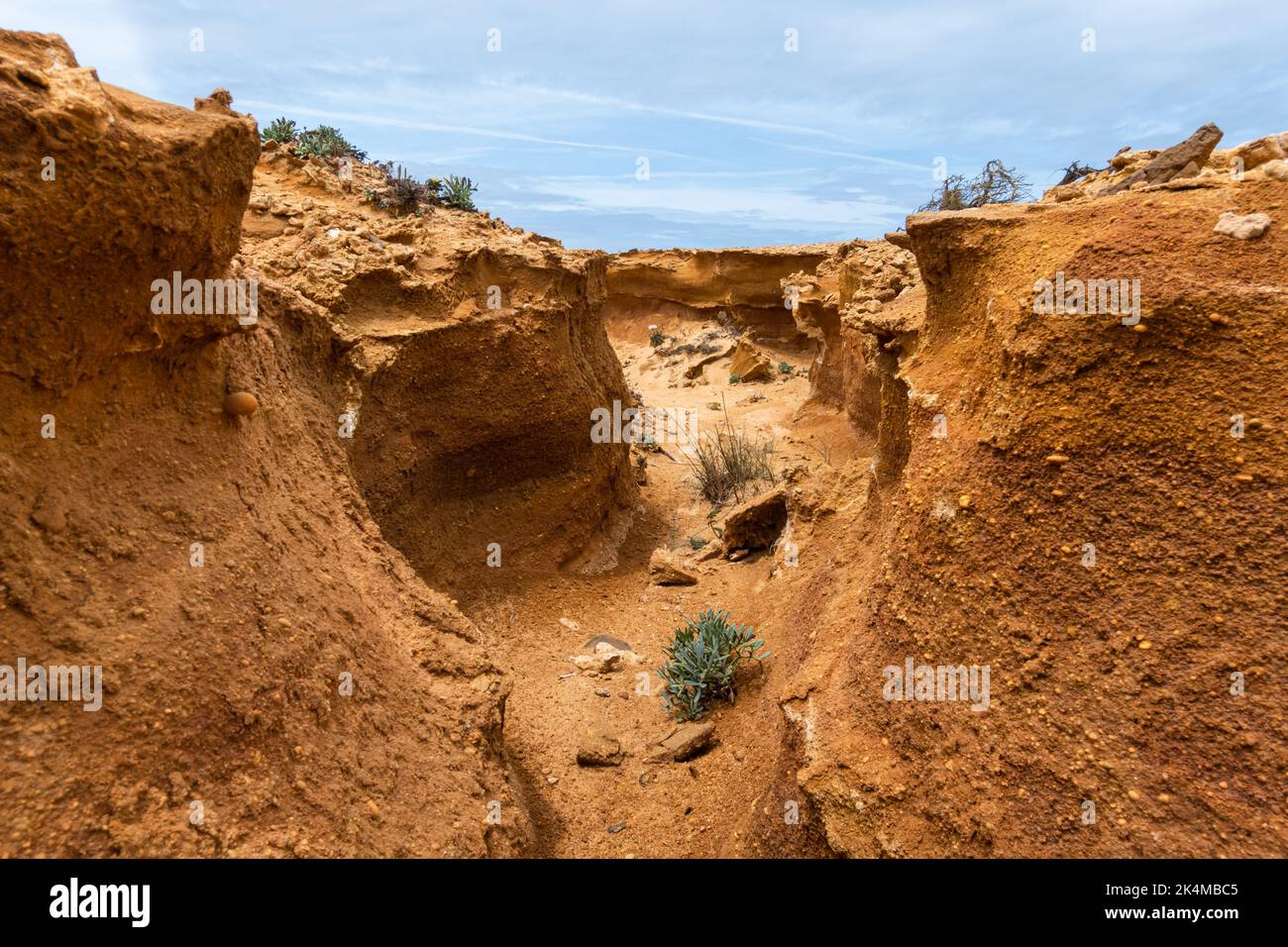 Detailed close-up of rock formations showing a variety of geological ...