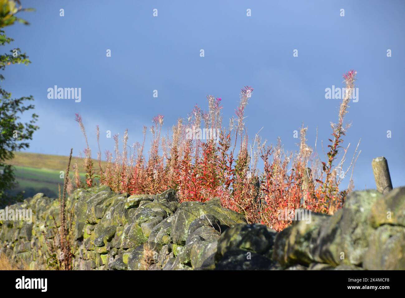 Calderdale way hi-res stock photography and images - Alamy