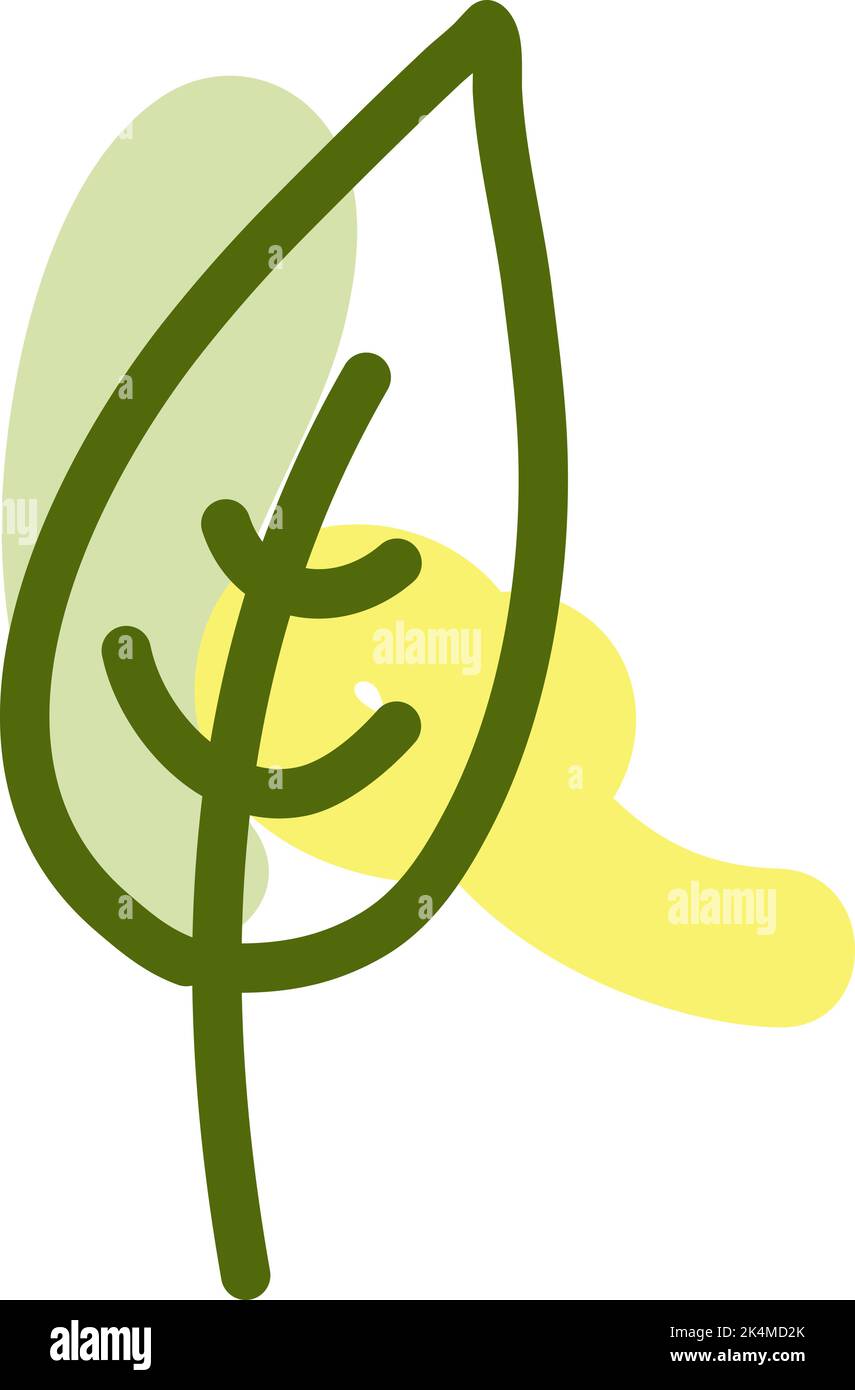 Spring green leaf, illustration, vector on a white background Stock ...