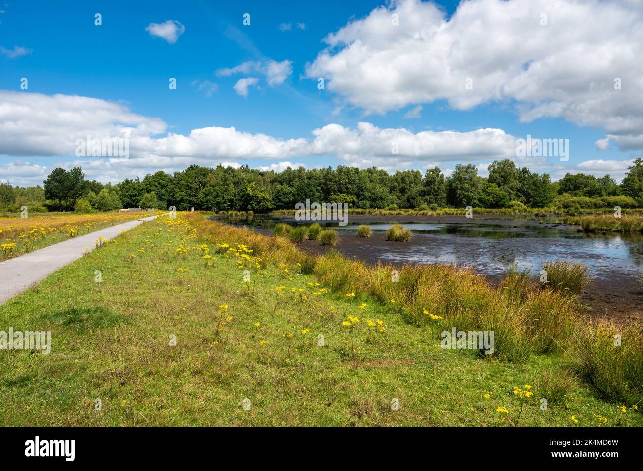 Landscape view over green grass, heather vegetation and water ponds of ...