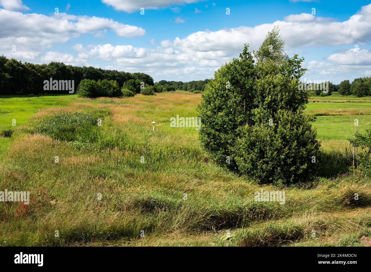 Bunnerveen hi-res stock photography and images - Alamy