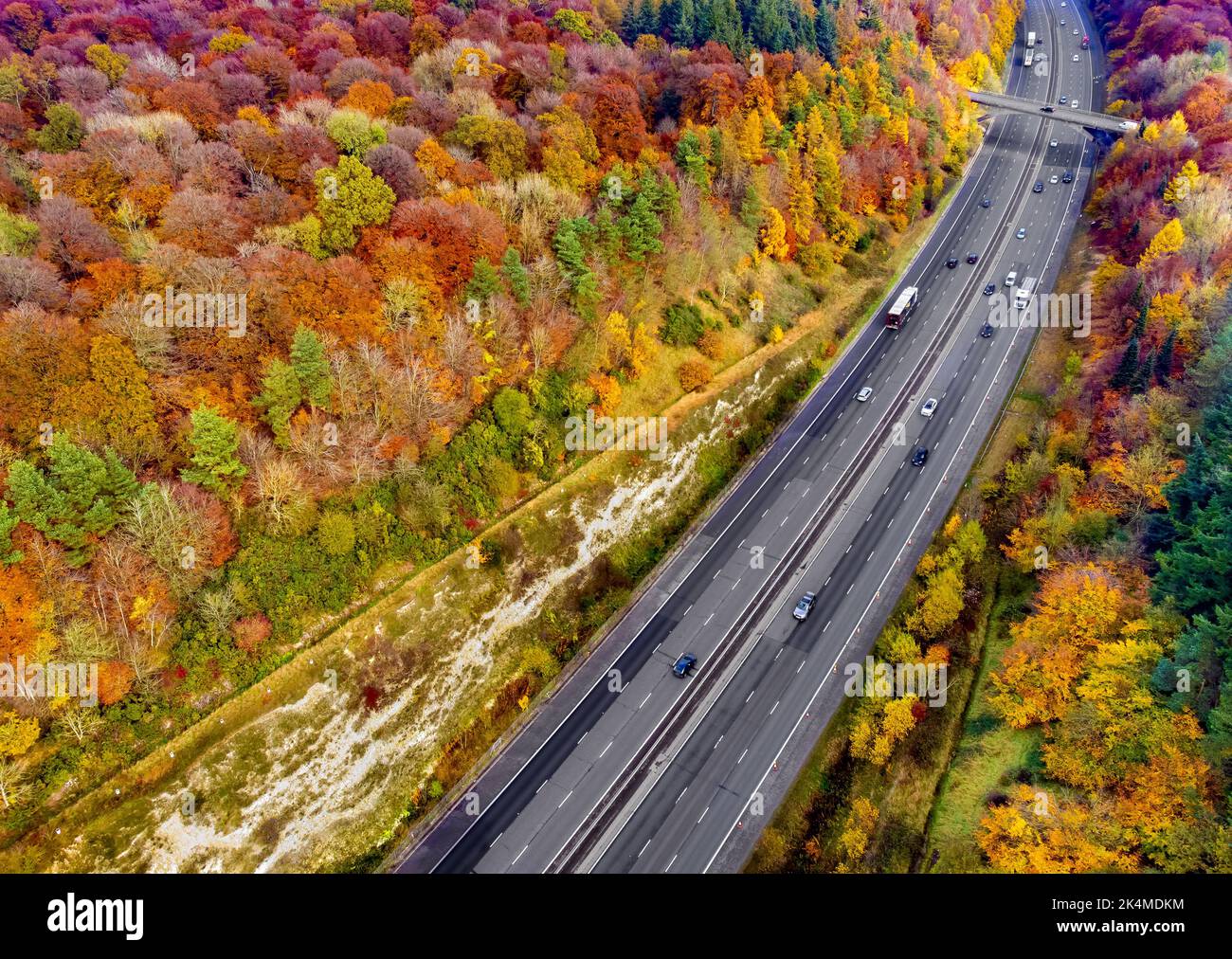 Aerial view of woodland in brilliant autumn colours with M40 motorway ...