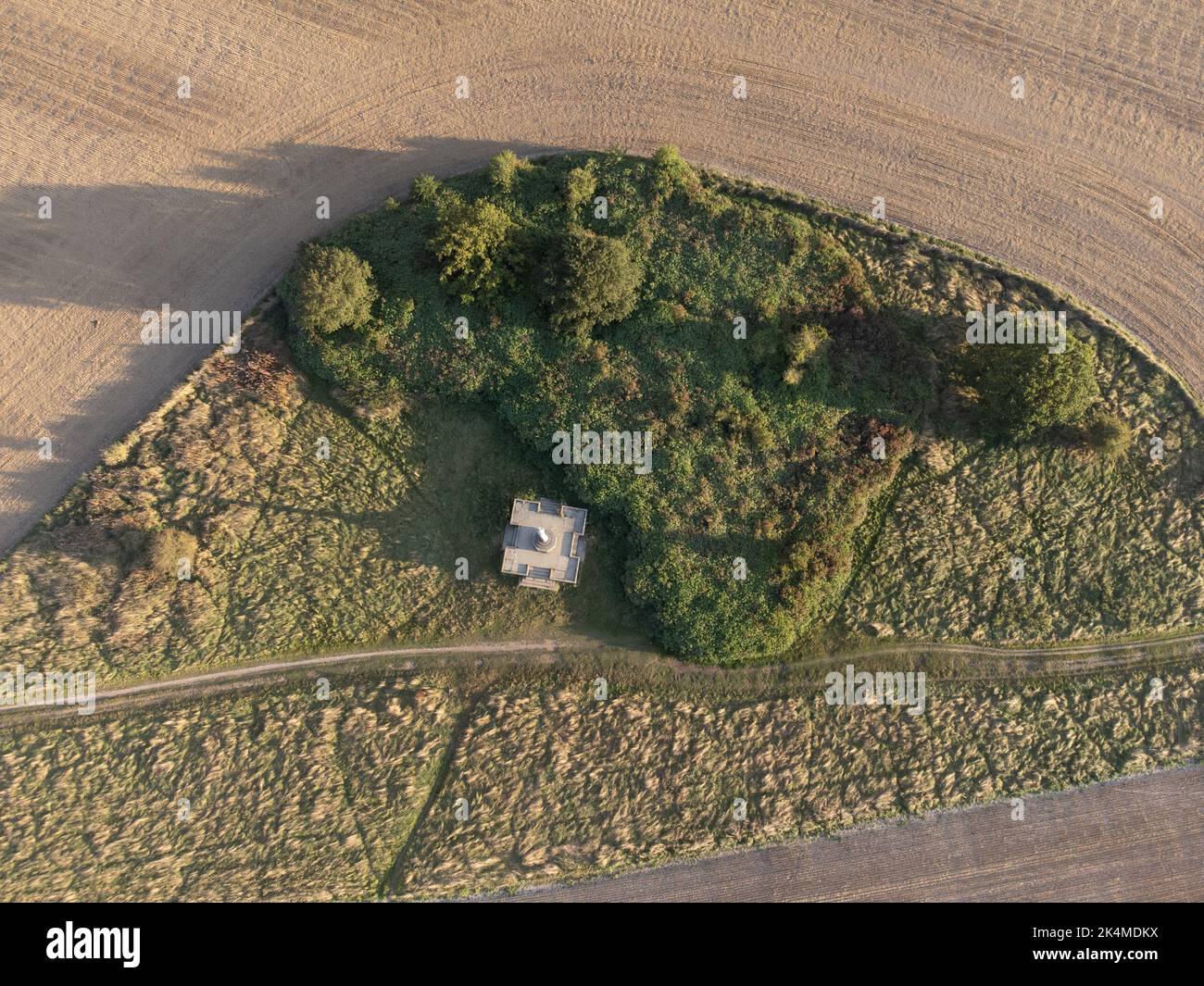 Aerial view of Lord Wantage monument surrounded by shrubbery and dry ...