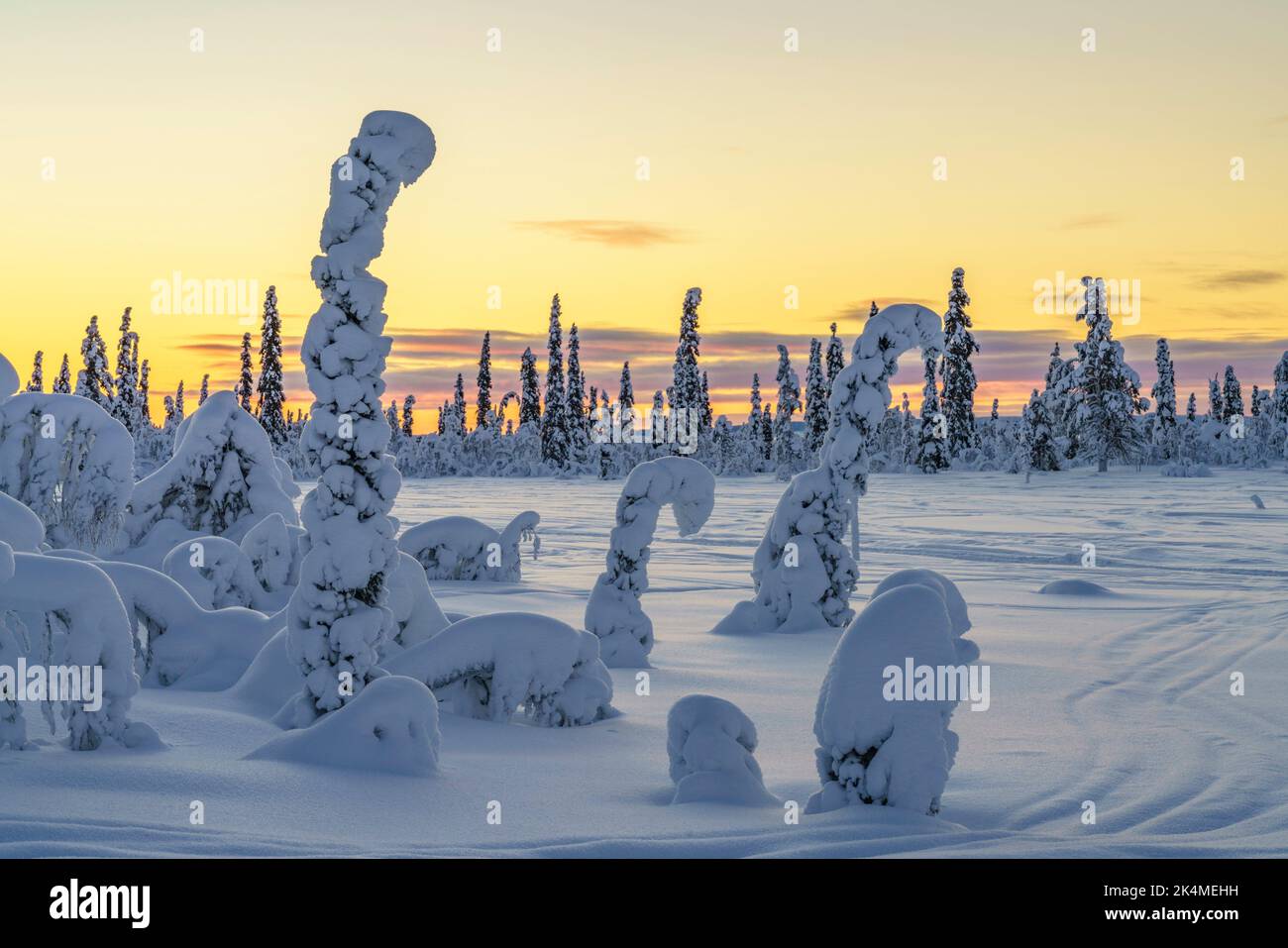 Swedish winter sunset hi-res stock photography and images - Alamy