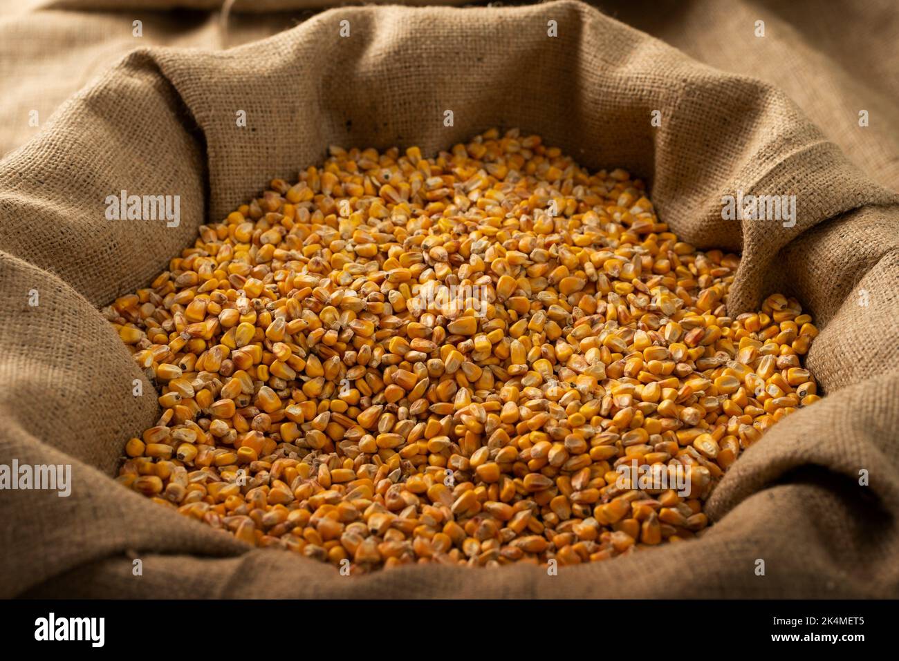 Ukrainian corn hi-res stock photography and images - Alamy