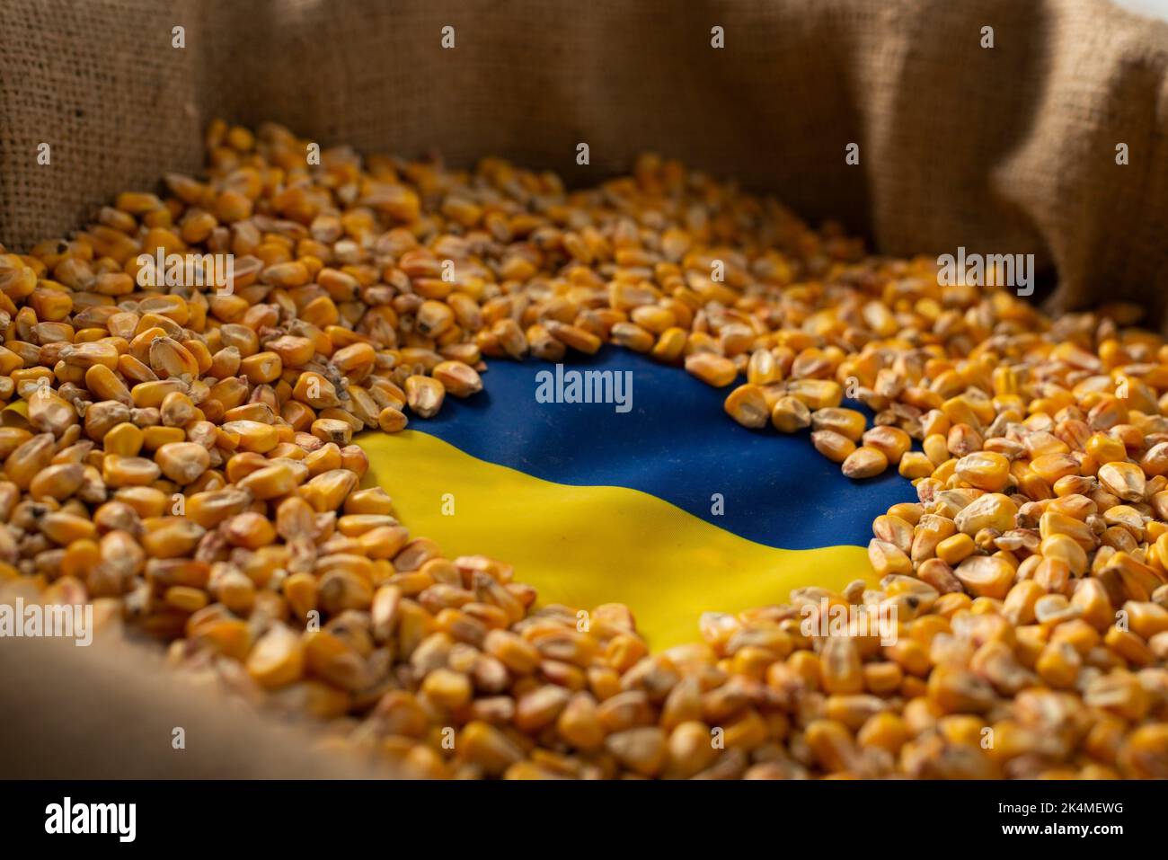 Ukrainian corn hi-res stock photography and images - Alamy