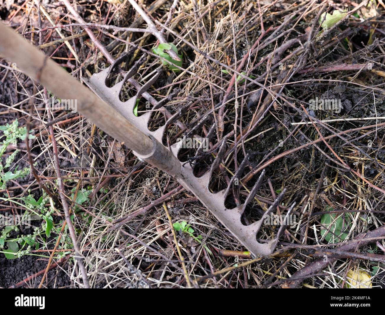 Rake with dry hi-res stock photography and images - Alamy