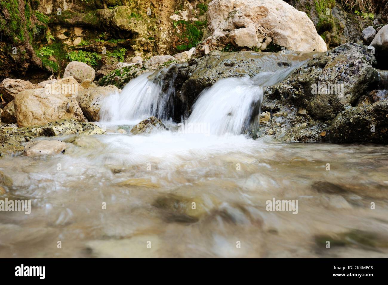 Streams and waterfalls Nature Reserve Ein Gedi at the Dead Sea in ...