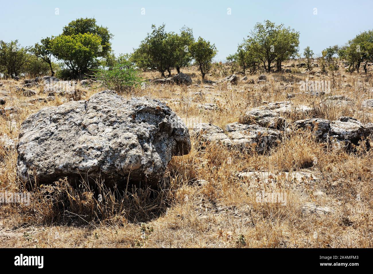 Gamla Nature Reserve in Israel - the ancient city and the tallest ...