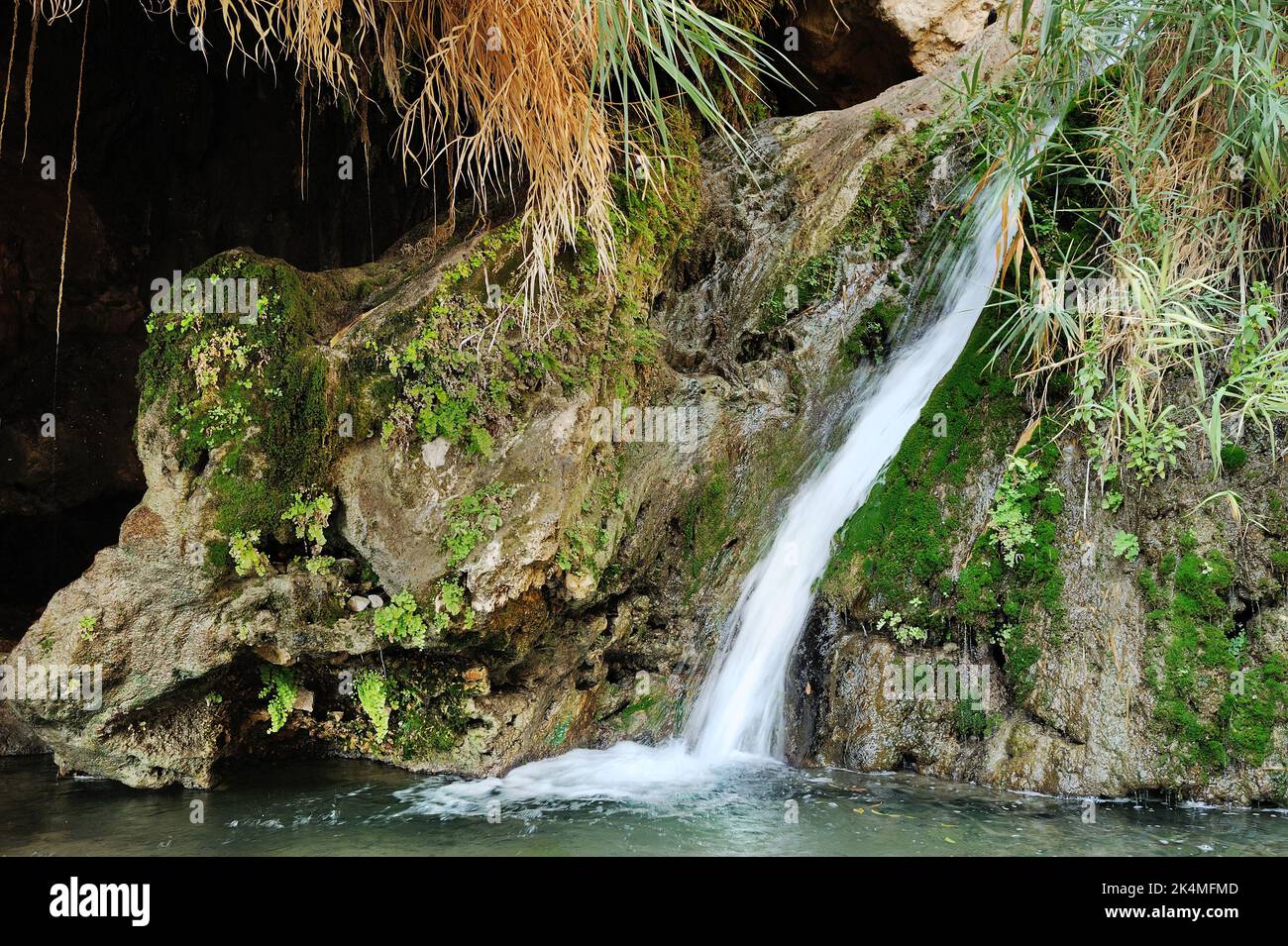 Streams and waterfalls Nature Reserve Ein Gedi at the Dead Sea in ...