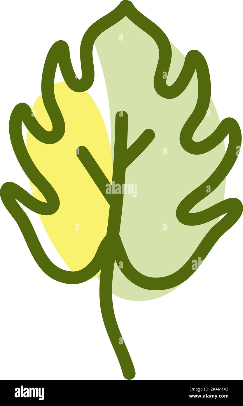 Spring leaf, illustration, vector on a white background Stock Vector ...