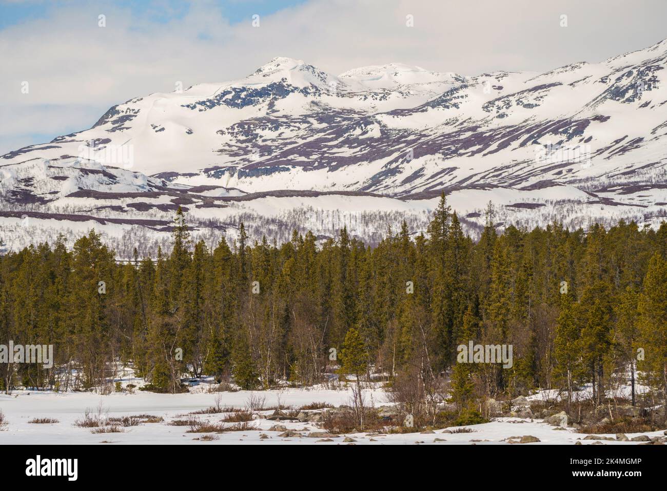 Swedish lapland spring hi-res stock photography and images - Alamy