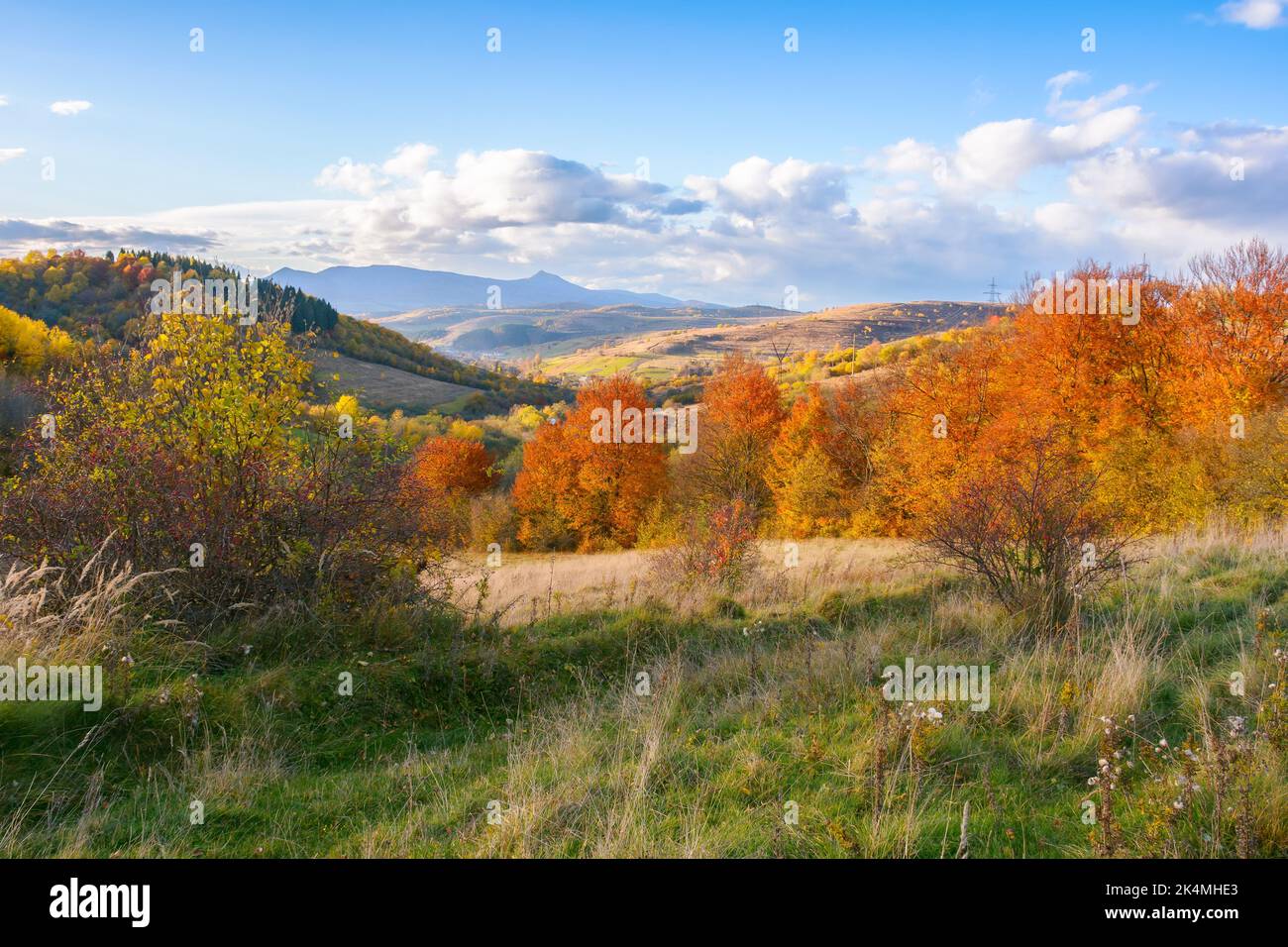 fantastic autumn afternoon in carpathians. iconic picture of ...