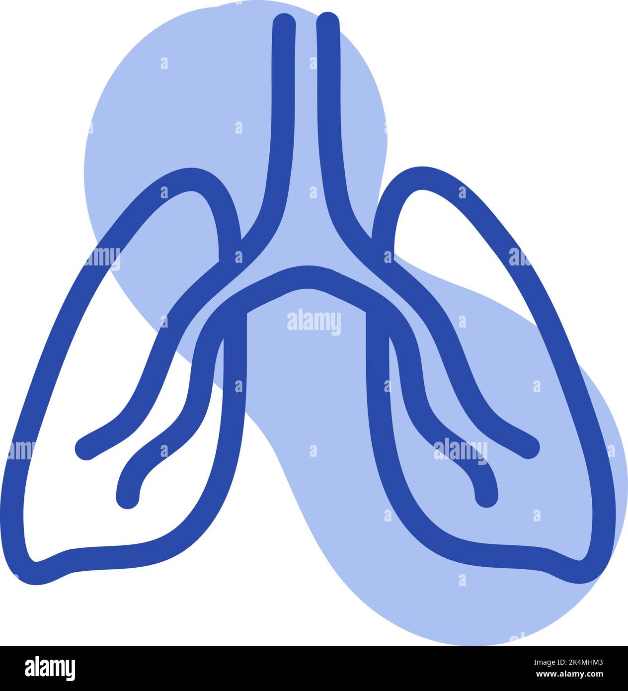 Healthy lungs, illustration, vector on a white background Stock Vector ...