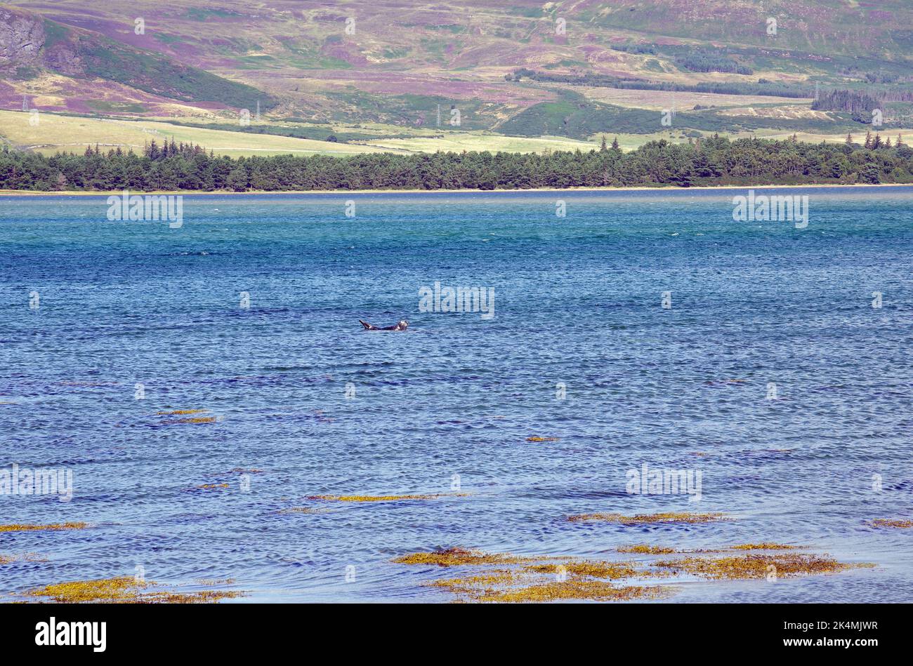 Loch Ness, Scotland, UK Stock Photo - Alamy