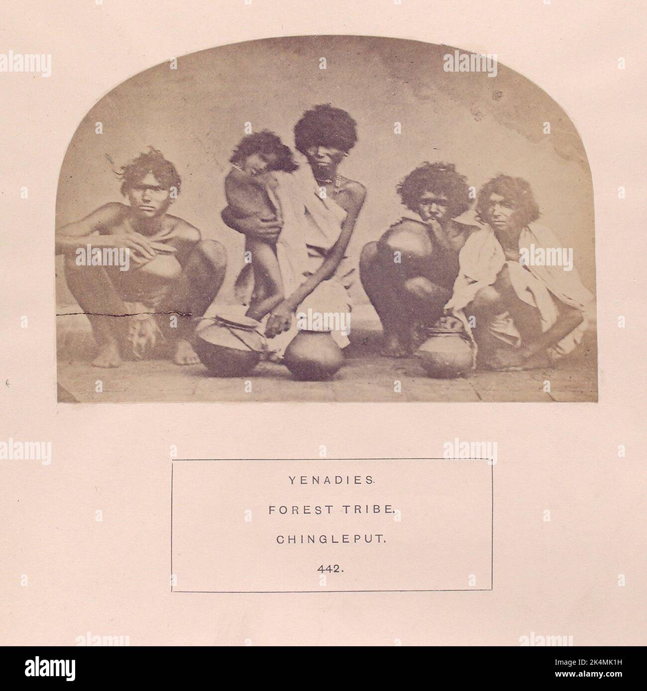 Indigenous people india forest hi-res stock photography and images - Alamy