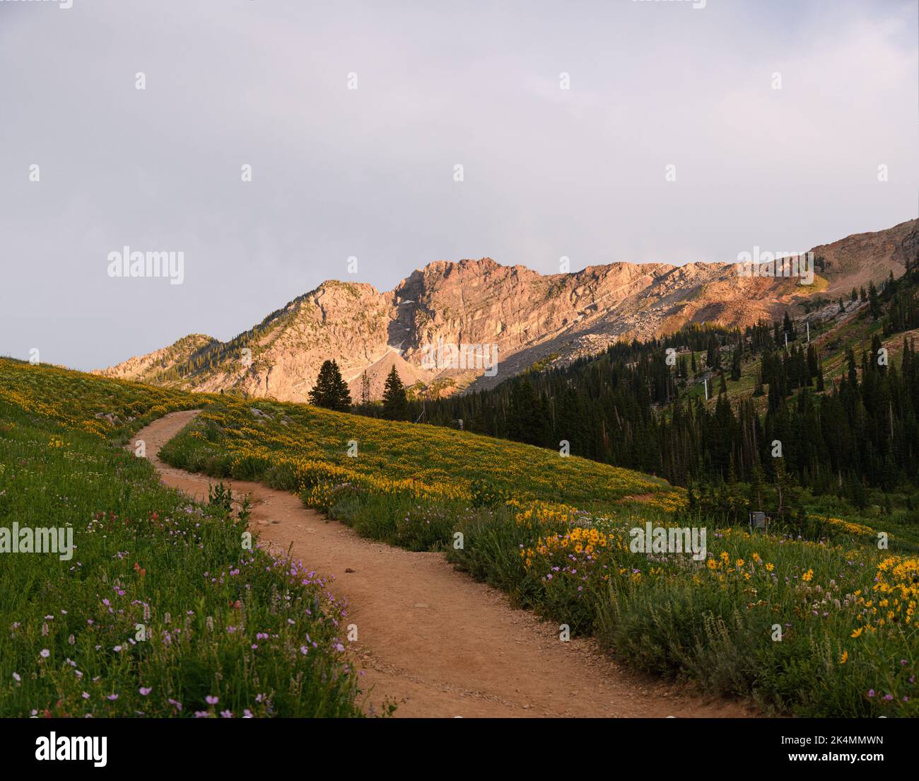 A dusty path with fields on both sides leading to a rocky, white ...