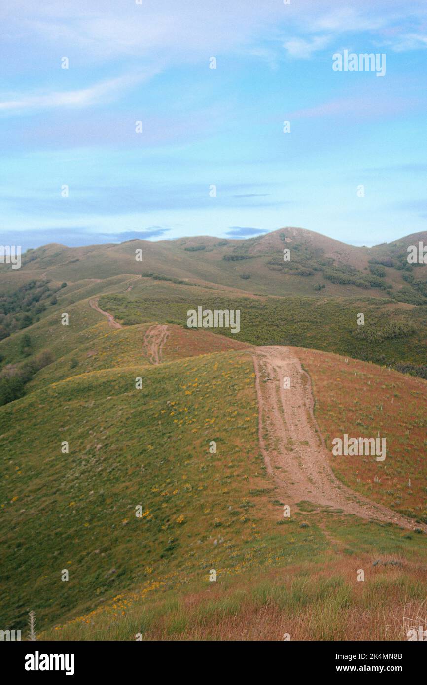 A vertical high-angle of a dusty path on the green mountains with a ...